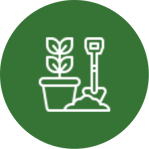 Compost Tea Organic Plant Fertilizer, for Indoor, Outdoor Plants.