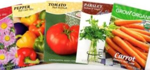 Garden Seeds. Saving, Selecting, Germination, Soaking Nicking.