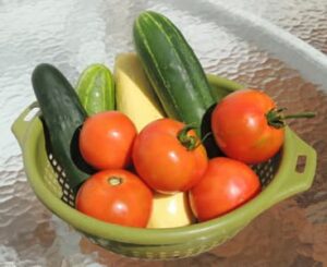 State Vegetable. List of Official State Vegetables. By The Gardener's Net.